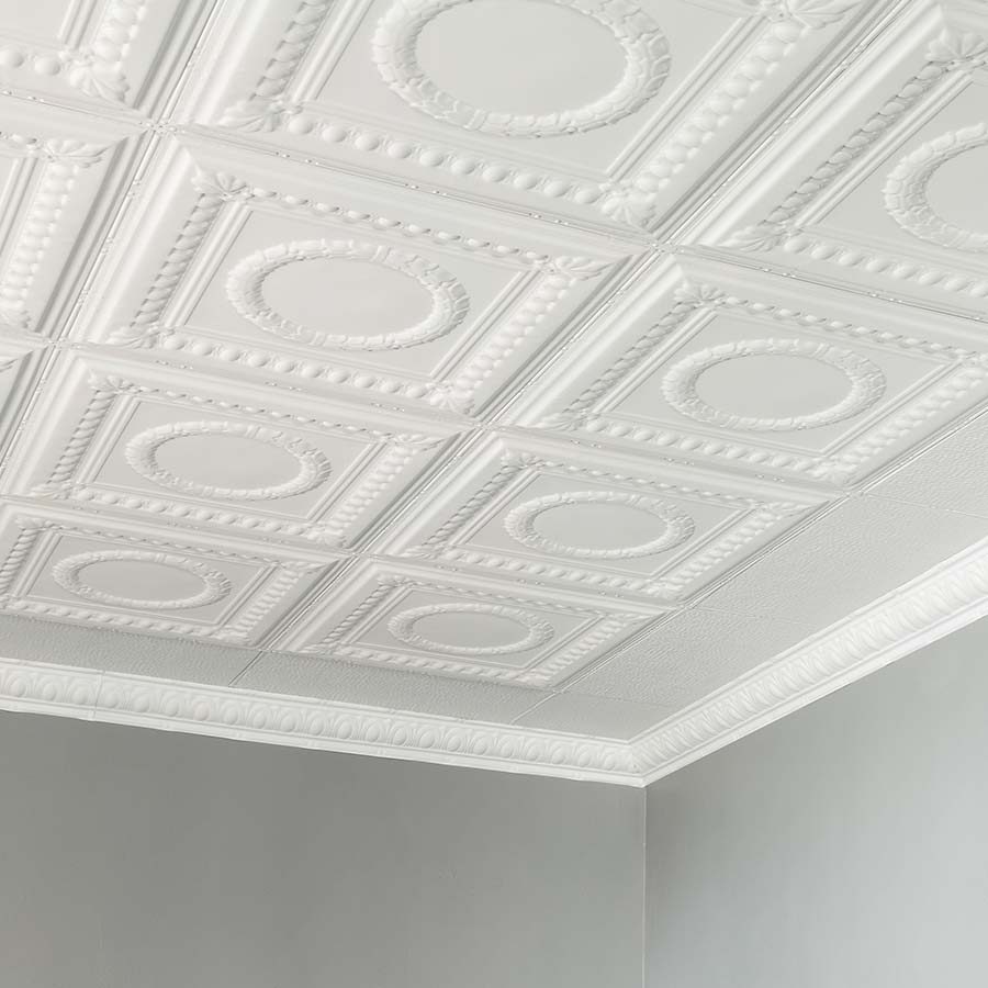 Great Lakes 2x2 Ceiling Tile in Cleveland - DIY Decor Store